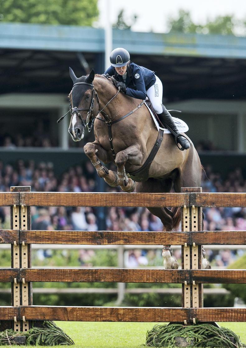 SALES PREVIEW: Bumper final sale at Goresbridge 29 November 2024 Premium