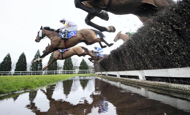 DONN McCLEAN PREVIEW: This 8/1 shot can deliver at Cheltenham 12 December 2024 Premium