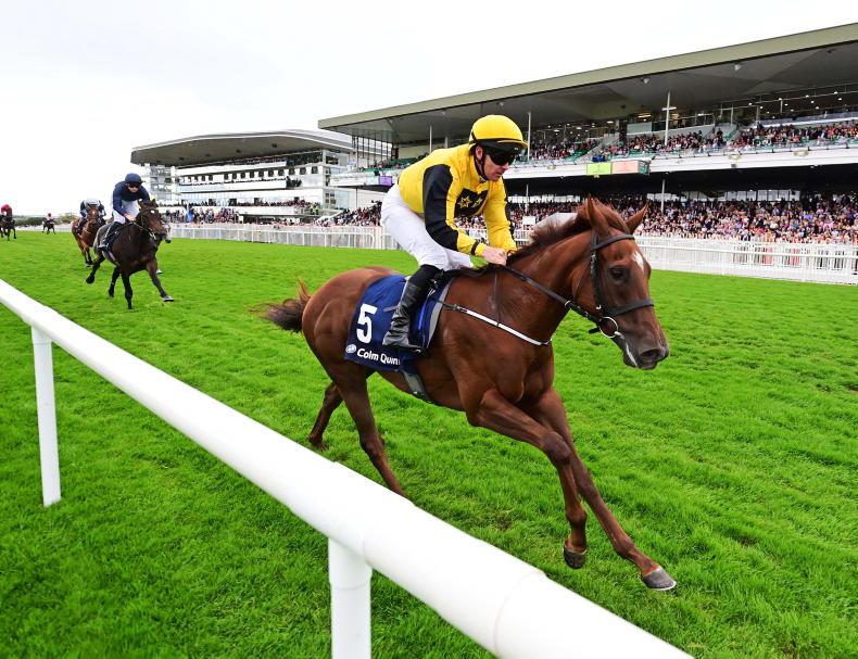 CURRAGH SUNDAY: Is Cesarewitch redemption on the way after a luckless ...