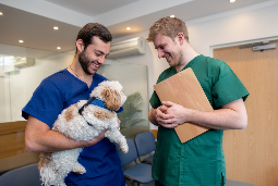 Medivet Reviews | Read Customer Service Reviews of www.medivet.co.uk