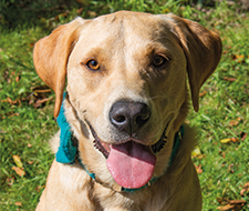 JR Pet Products Reviews | Read Customer Service Reviews of ...