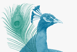 Utmost Life and Pensions Reviews | Read Customer Service Reviews of ...