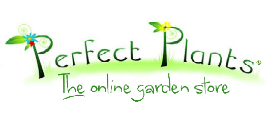 Perfect Plants Reviews | Read Customer Service Reviews of www ...