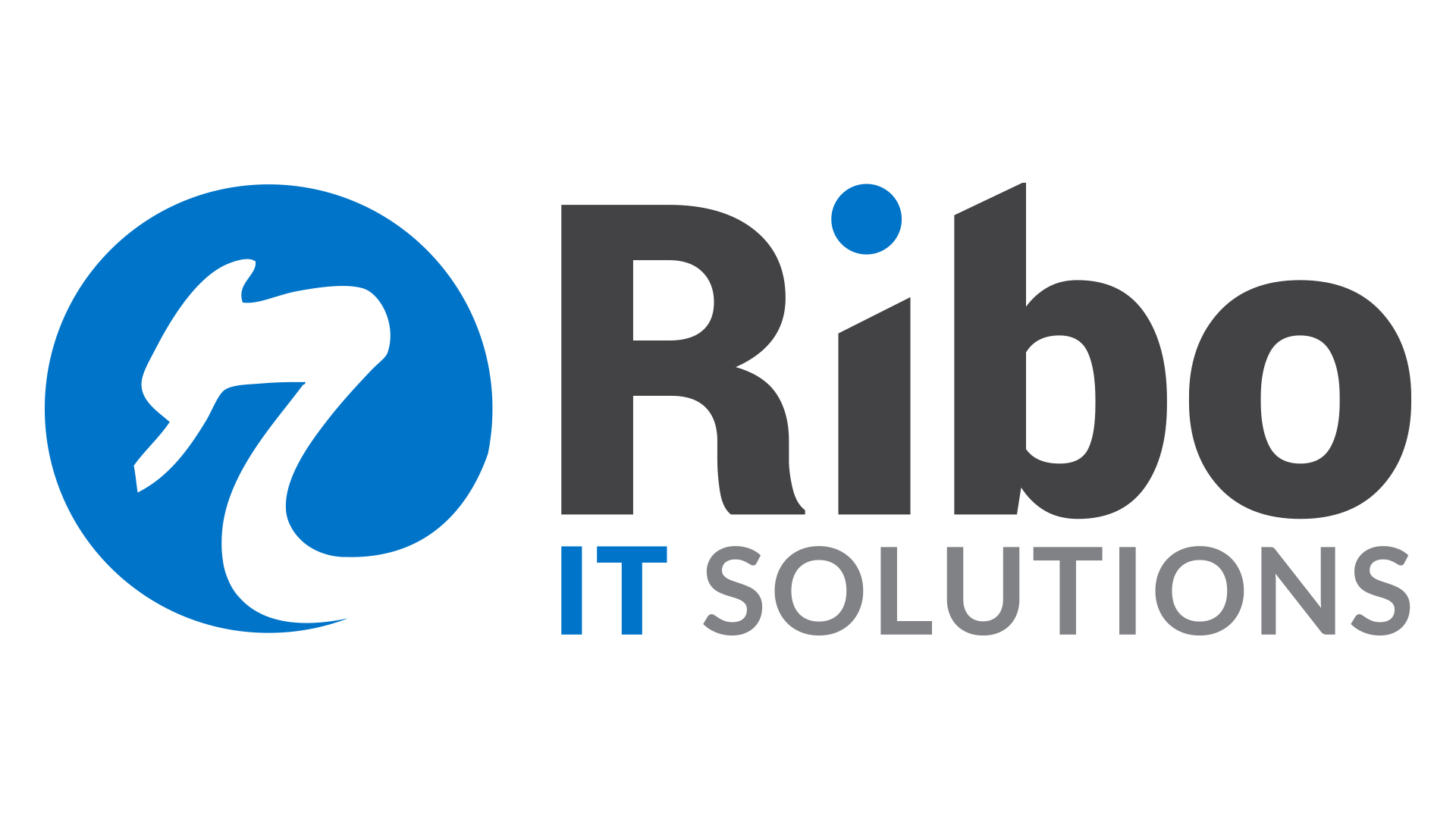 Ribo Soluzioni Informatiche | Leggi le recensioni dei servizi di ribo.it
