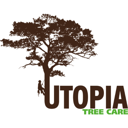 Top Rated Tree service Companies on Trustpilot