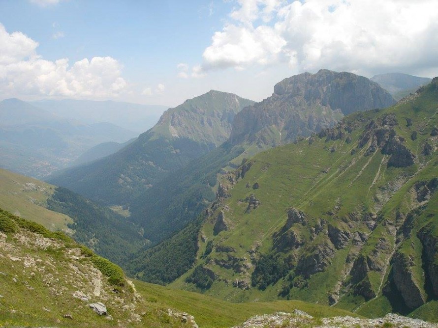 Лешница на Шар Планина