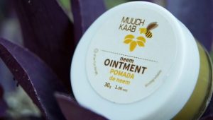 Much Kaab showcase products at Indigenous Peoples Expo - Travel Foundation