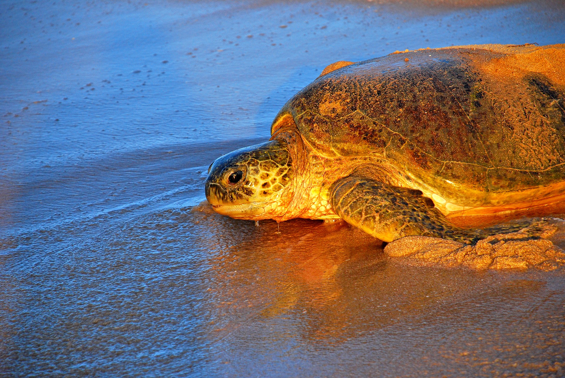 10 Things to Know Before Moving to Oman