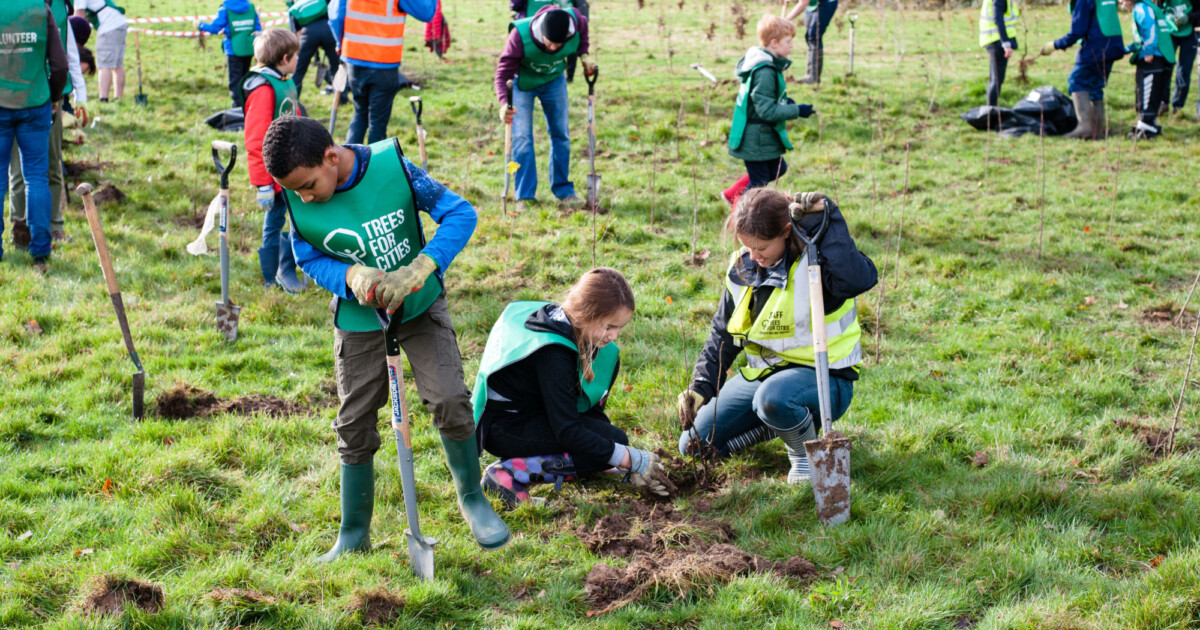 Trees for Cities | Trees for Cities