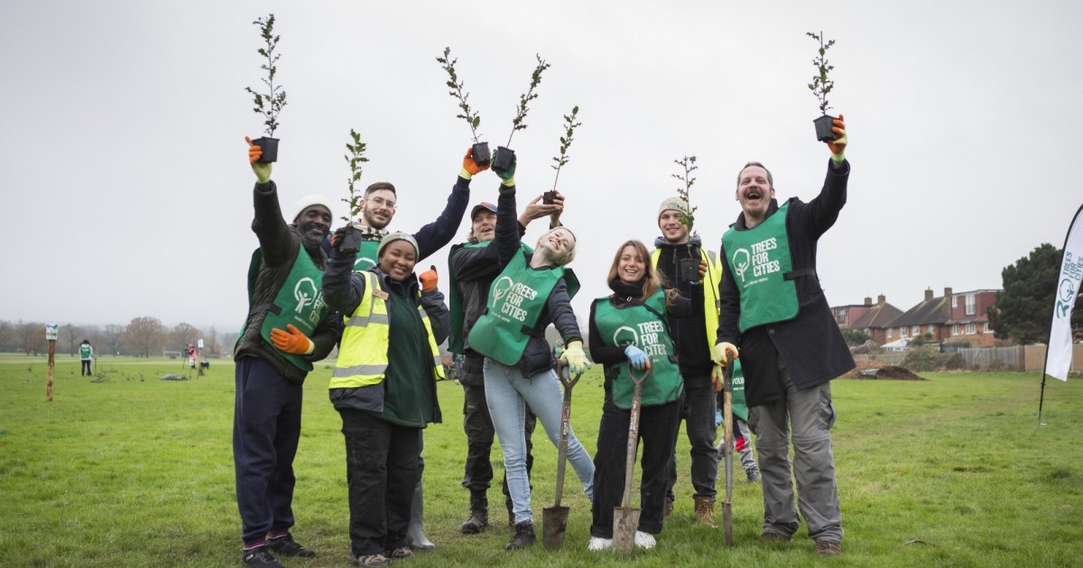 National Tree Week 2024 Wrapped | Trees for Cities