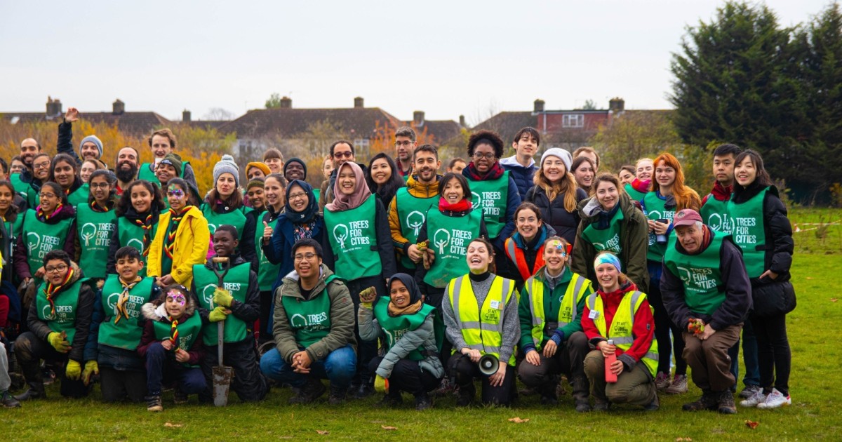 Our Equity, Diversion & Inclusion Statement | Trees for Cities