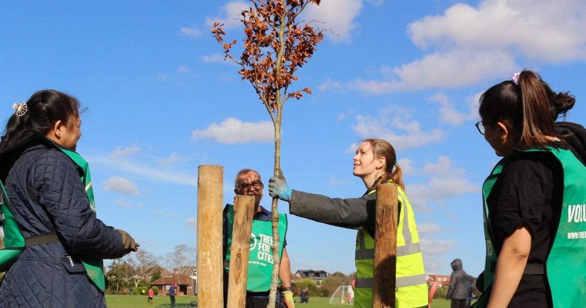 Sign up to newsletter Tree Times | Trees for Cities