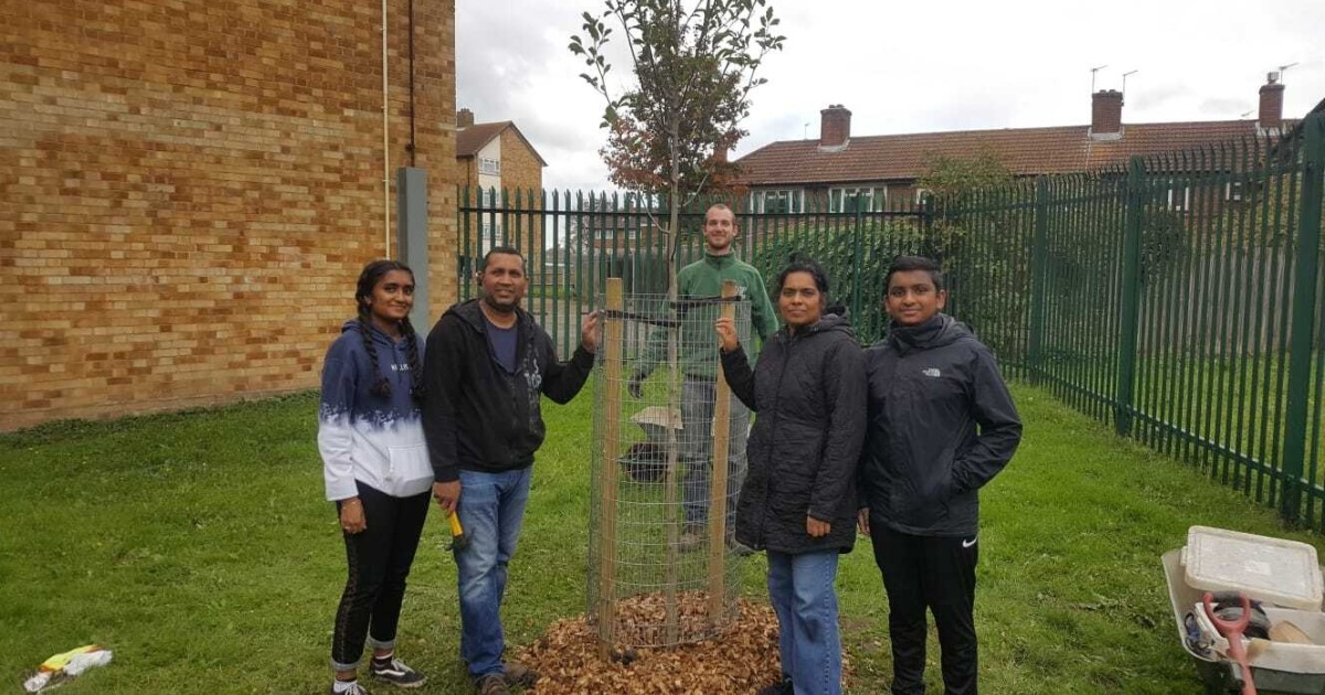 How we’re radically transforming an urban housing estate | Trees for Cities