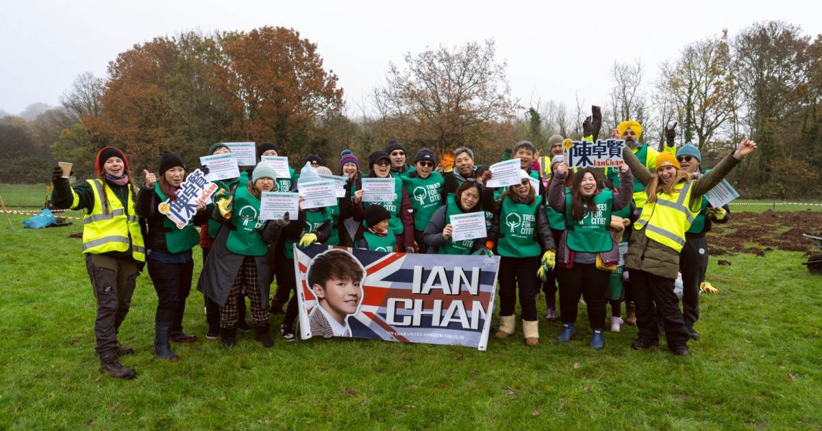 A story of unexpected and incredible support from Ian Chan fans | Trees ...