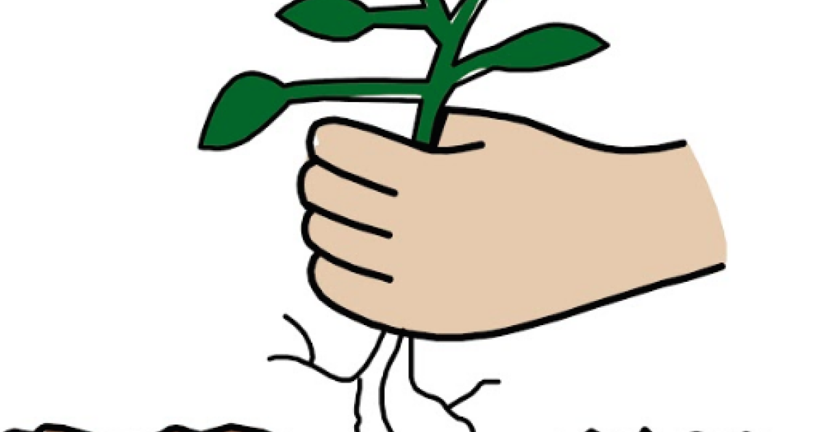 SEN Tree Planting Pack | Trees for Cities