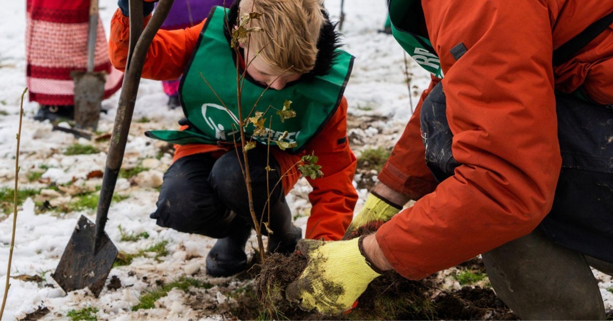 Root for Tree Equity | Donate to plant trees where they're needed most ...