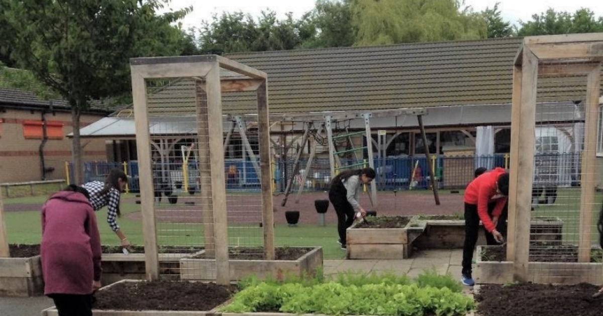 Lyng Primary school | Trees for Cities