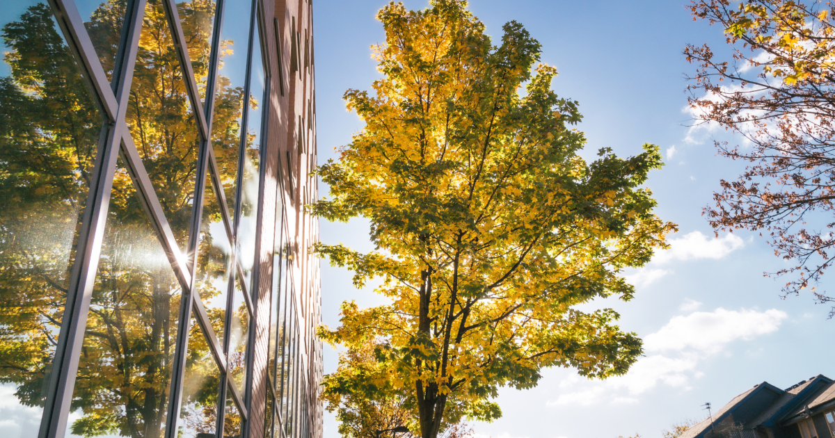 How the UK’s new Tree Equity Score map can be the basis for change ...