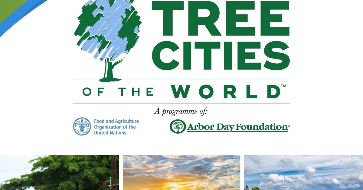 Tree Cities of the World | Trees for Cities