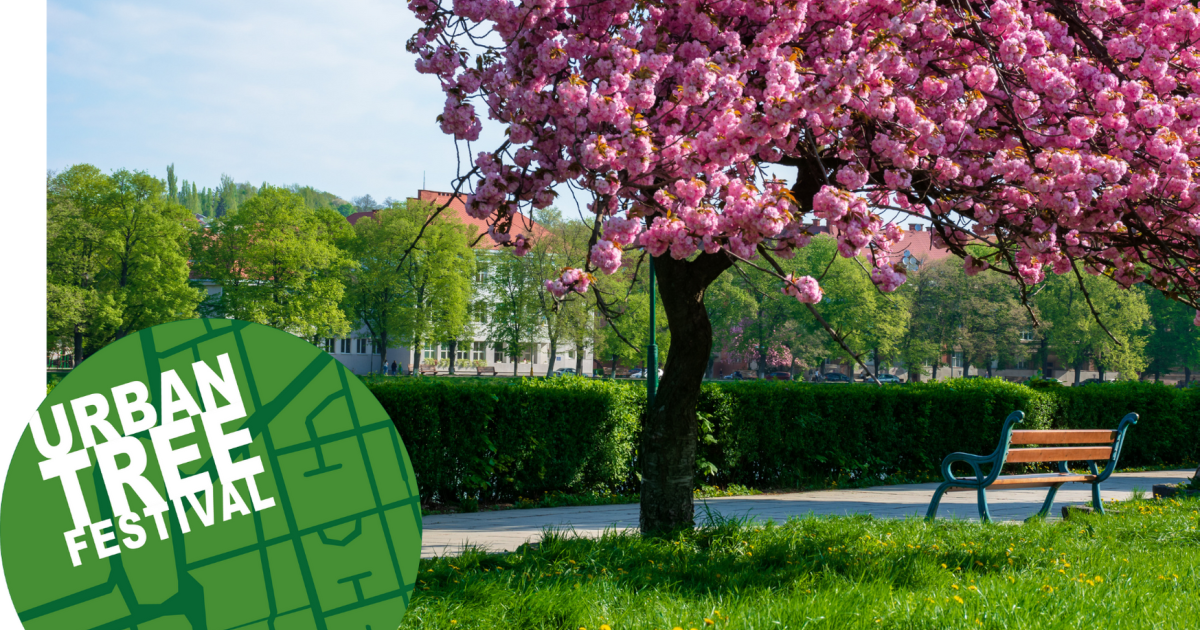 Urban Tree Festival | Trees for Cities