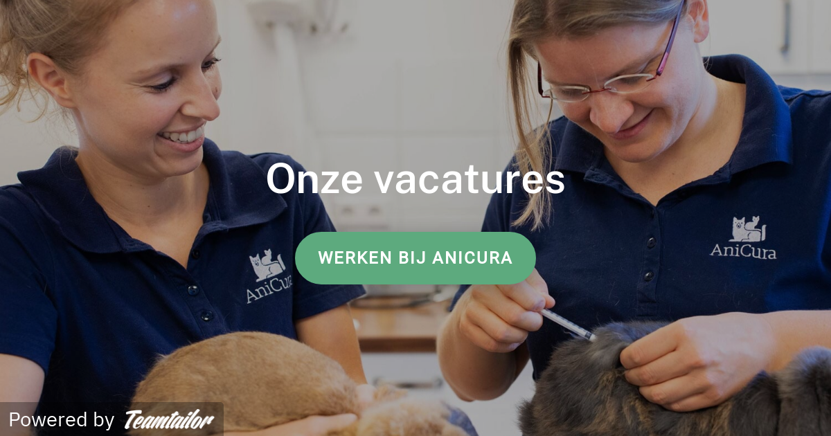 Onze Vacatures - AniCura Nederland