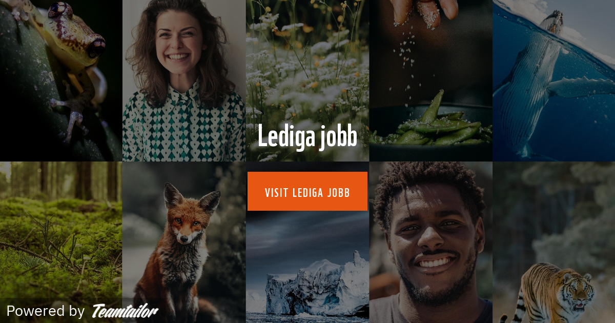 Lediga jobb - WWF