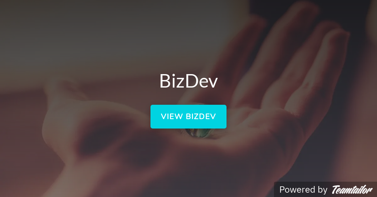 BizDev - Universal Search