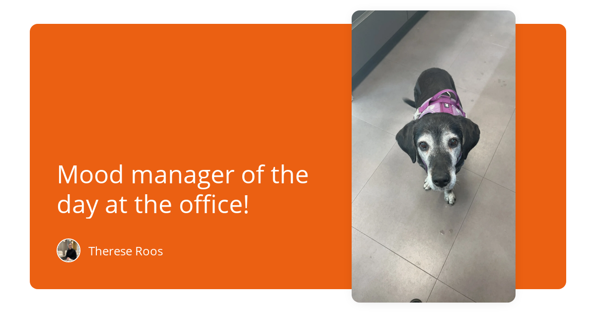 Mood manager of the day at the office! - Team stories - Additude