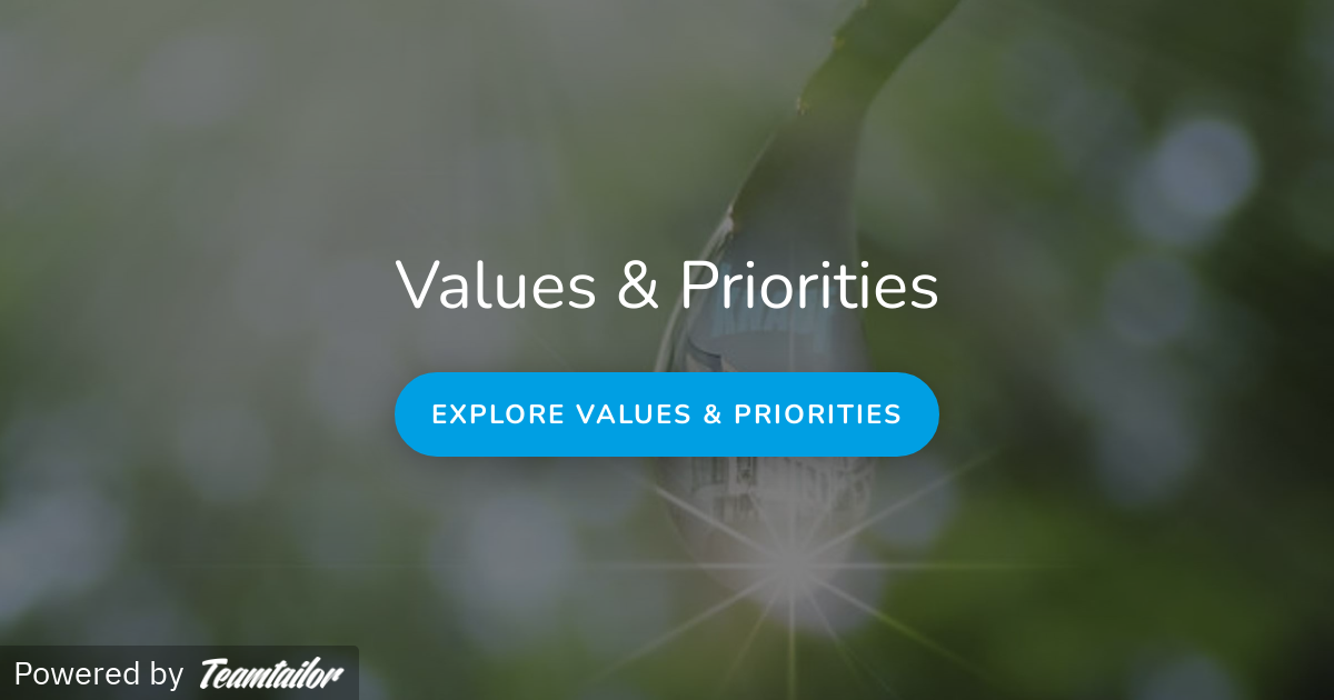 Values and Priorities - Knauf Group