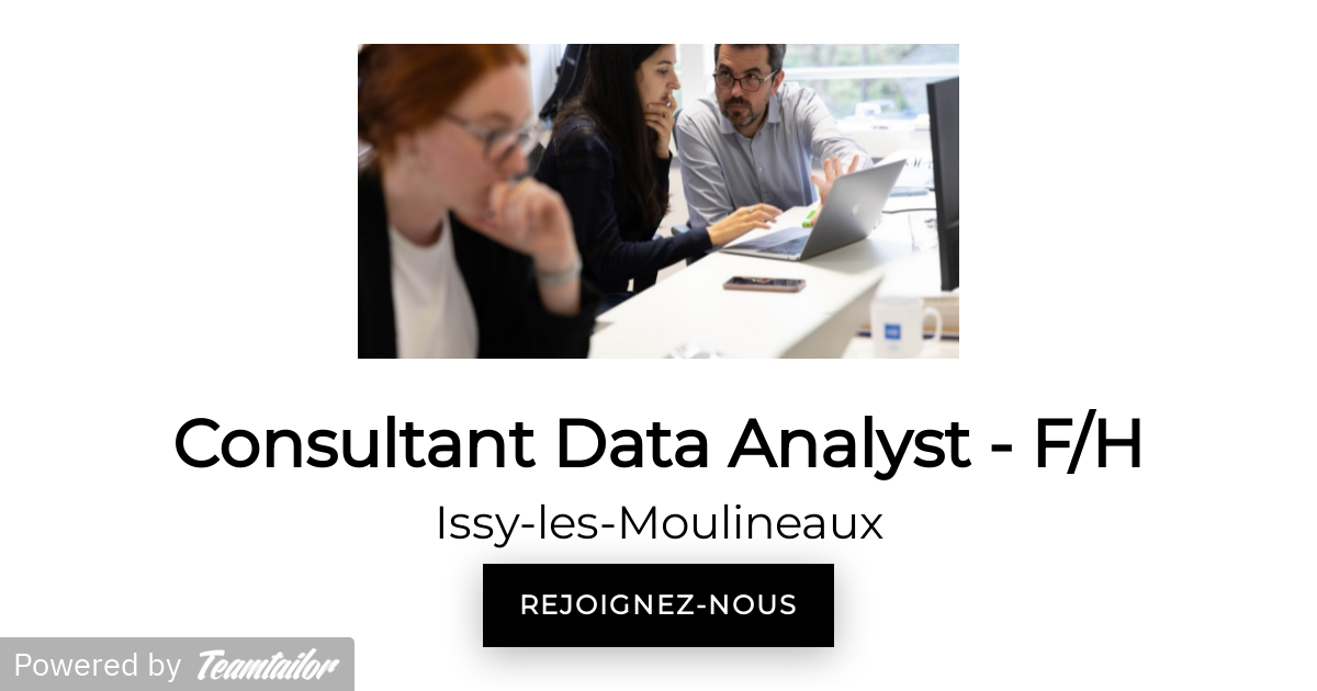 Consultant Data Analyst - F/H - Niji