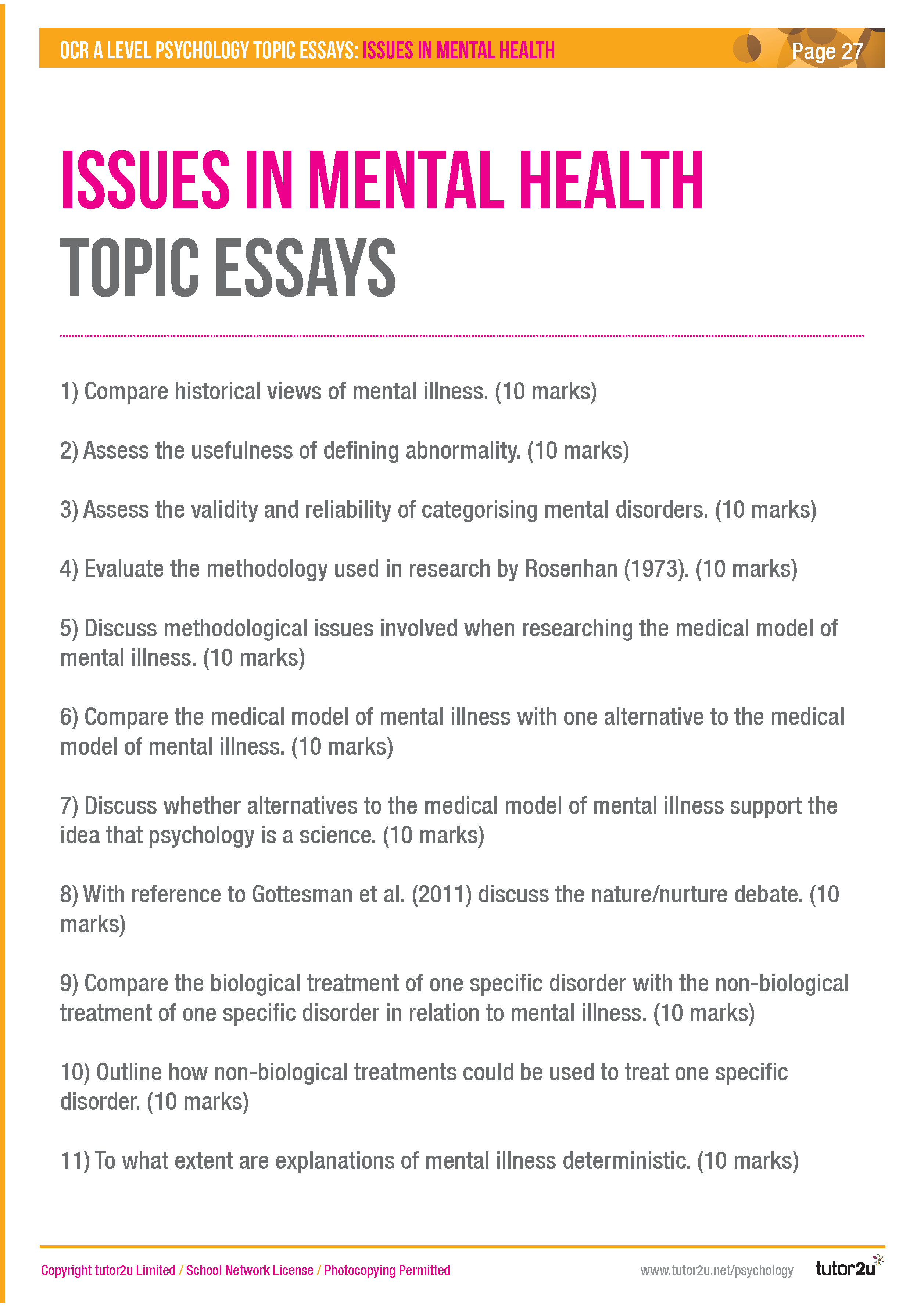 Essay On Mental Illness