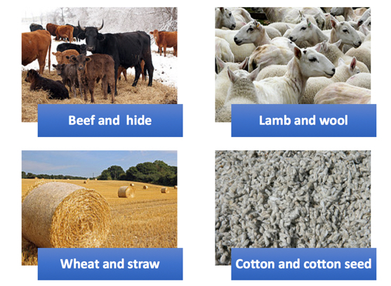 Joint Supply | Economics | tutor2u