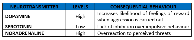 Aggression: Genetic Factors | Psychology | tutor2u