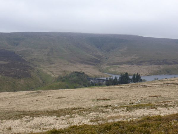 Back on the Black Mountains » Two Dogs and an Awning