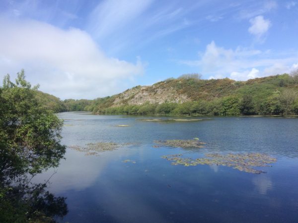 Stackpole and Bosherston Lakes » Two Dogs and an Awning