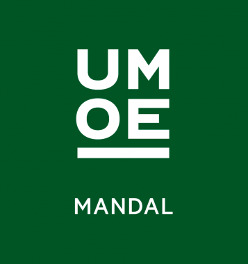 Umoe's investments - Umoe