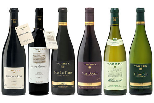 Bodegas Torres es la marca de vinos más admirada del mundo según la ...