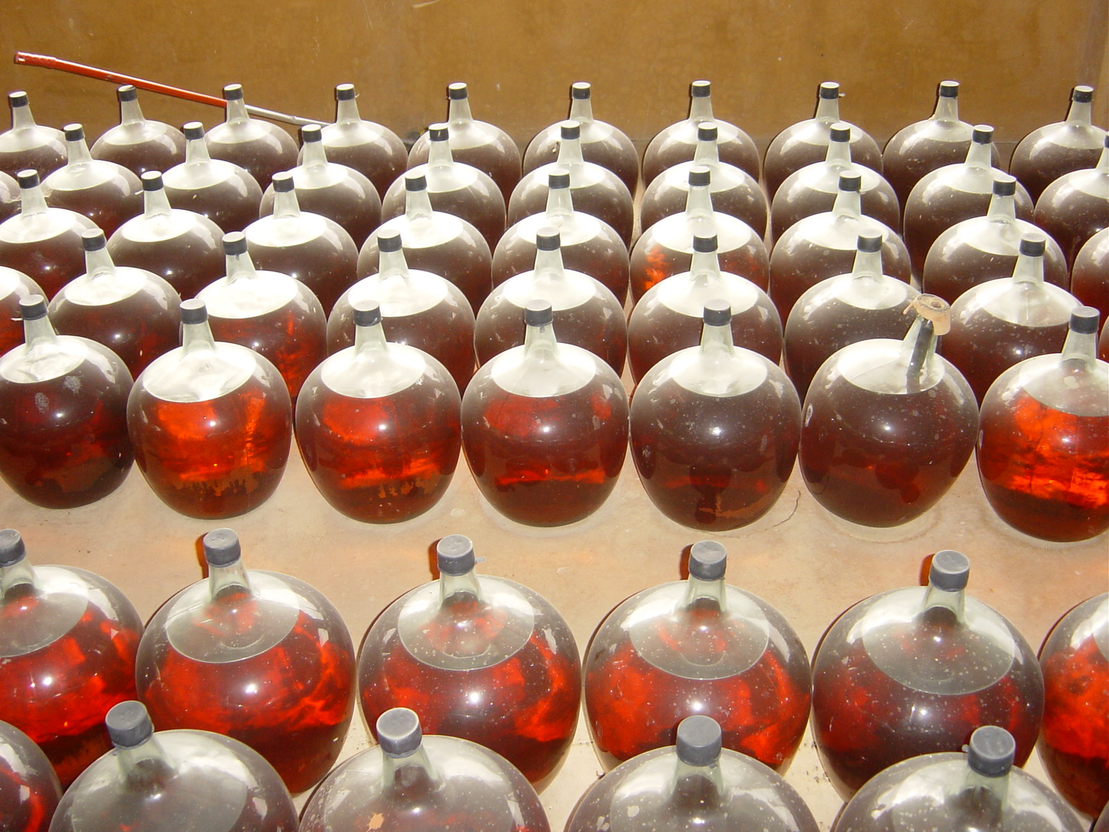 ¿Qué es el vino rancio? (2/2) - Verema