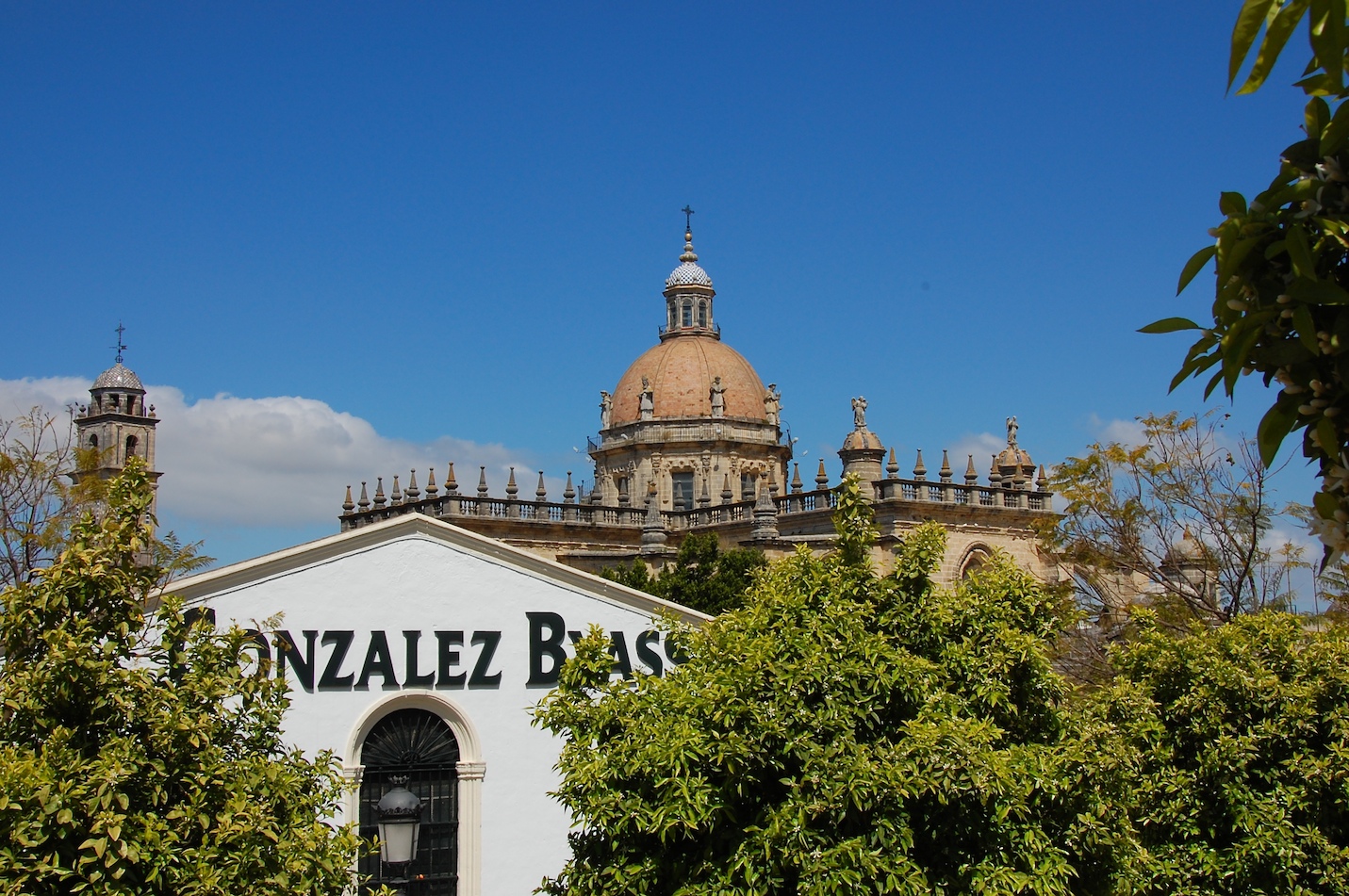 González Byass, grupo bodeguero jerezano con ingresos de 259 millones ...