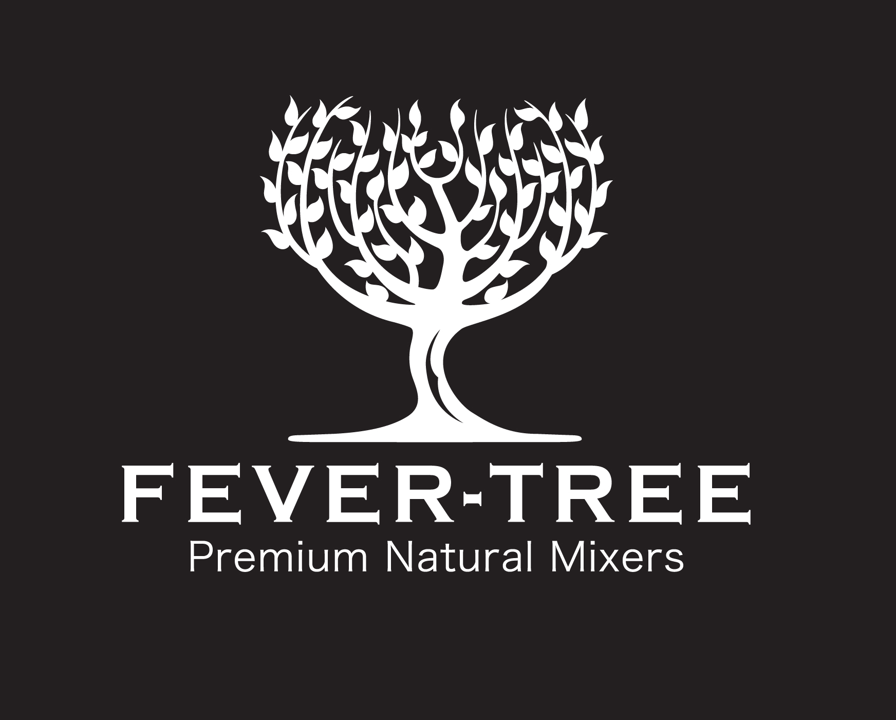 Natural Fever On Tour by Fever-Tree desembarca en Valencia durante la ...