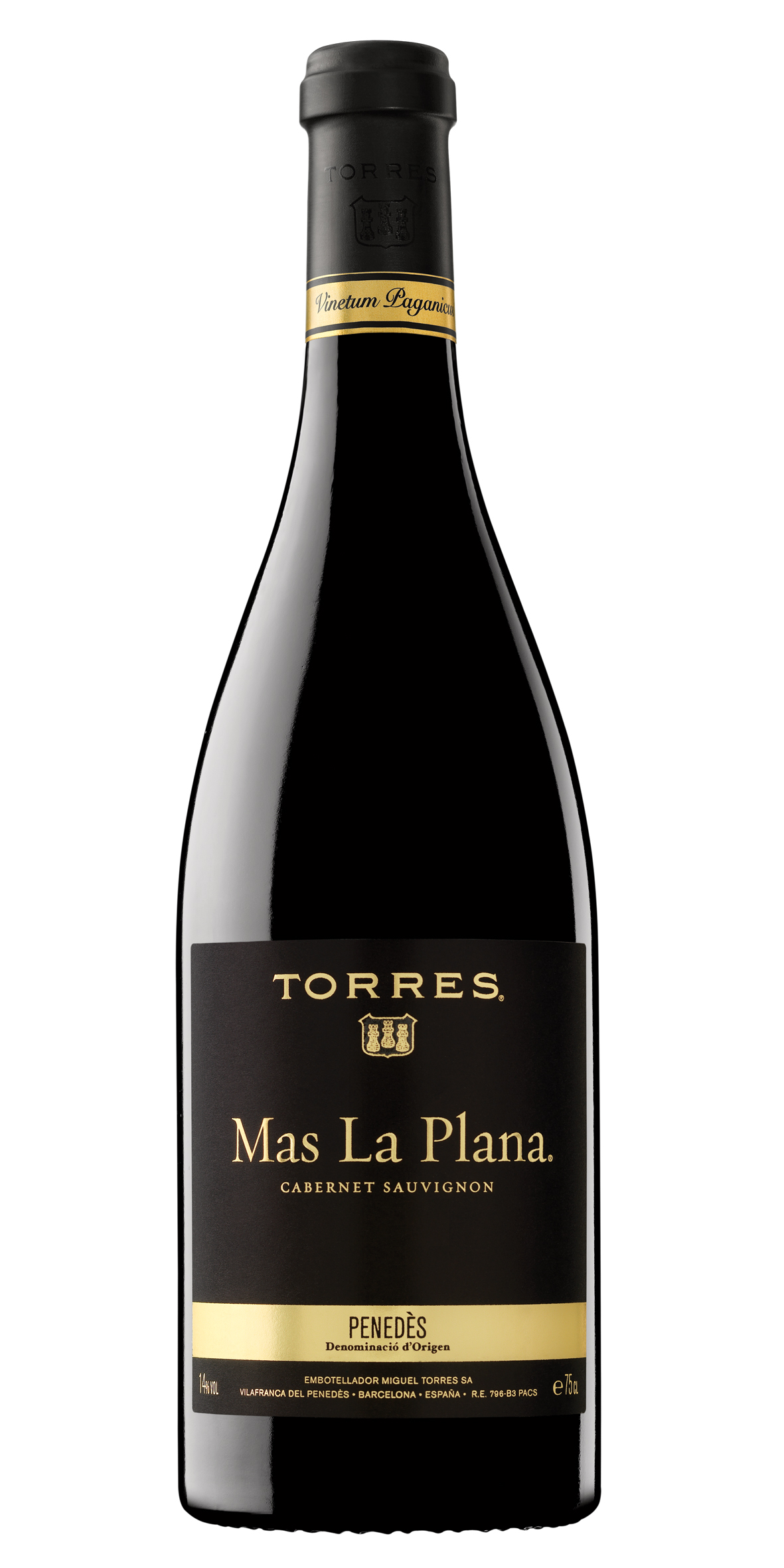 Los Vinos de Bodegas Torres, de gira con los hermanos Roca hacía America