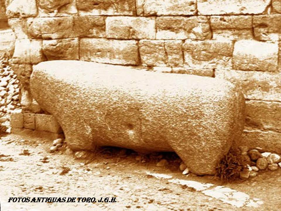 Verracos | Ficha 487 Figura zoomorfa