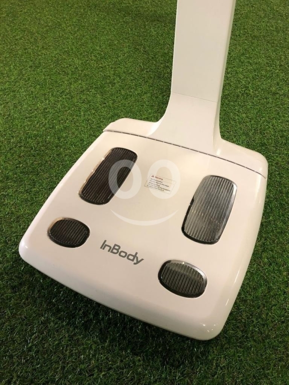 InBody 120 - Body composition analyzer - Sports, Leisure & Travel - Vivadoo