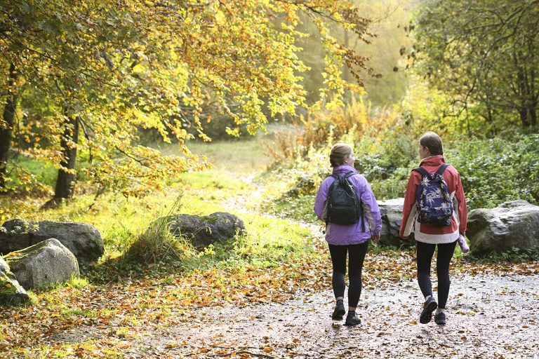 National Walking Month - And Why It's Important - WalkNI
