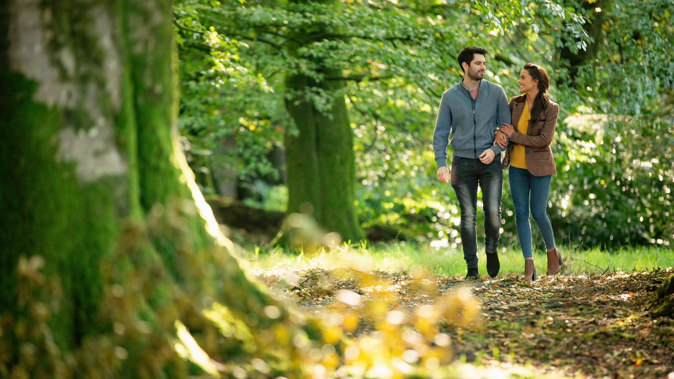 Community Trail of the Month - Darkley Forest Community Trails - WalkNI