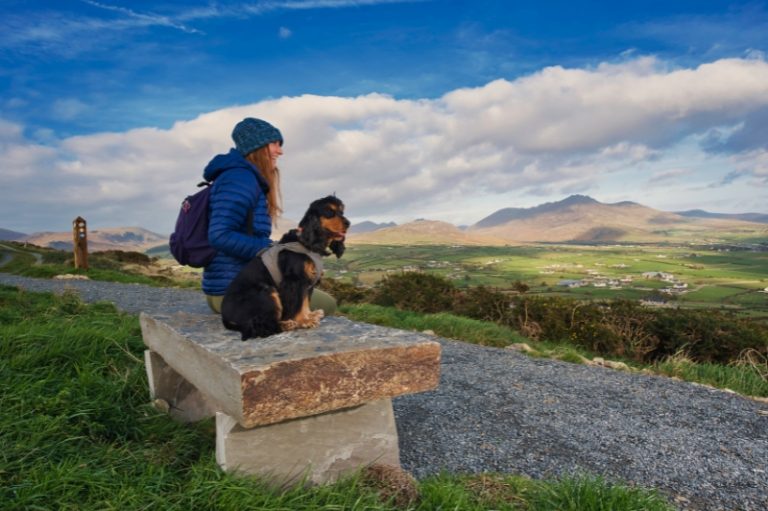 The Walkers' Ultimate Guide to Exploring Newry, Mourne and Down - WalkNI