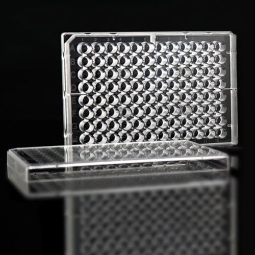 Cell Culture Plates - WhiteSci