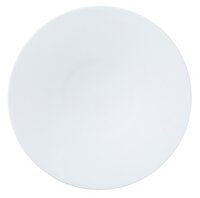 Snipe Deco Plate 22cm Carton of 12 - Kitchequip