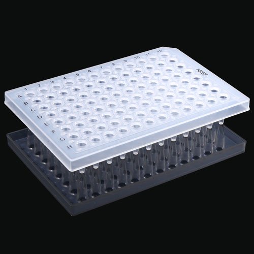 PCR Plates - WhiteSci