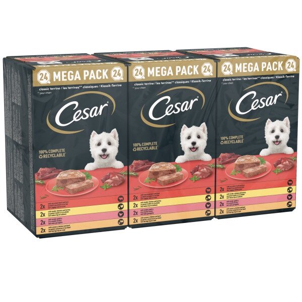 Cesar Classic Terrine Mixed Selection Pouches Mega Pack 24 x 150g - AR ...